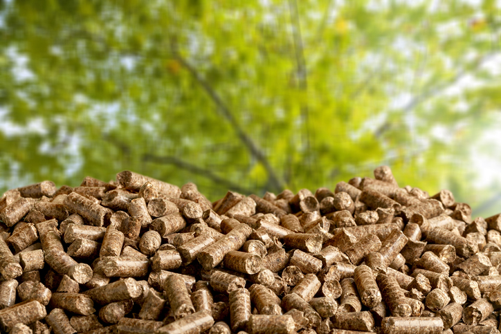 Holz der nachwachsende Rohstoff der Zukunft aus der Region